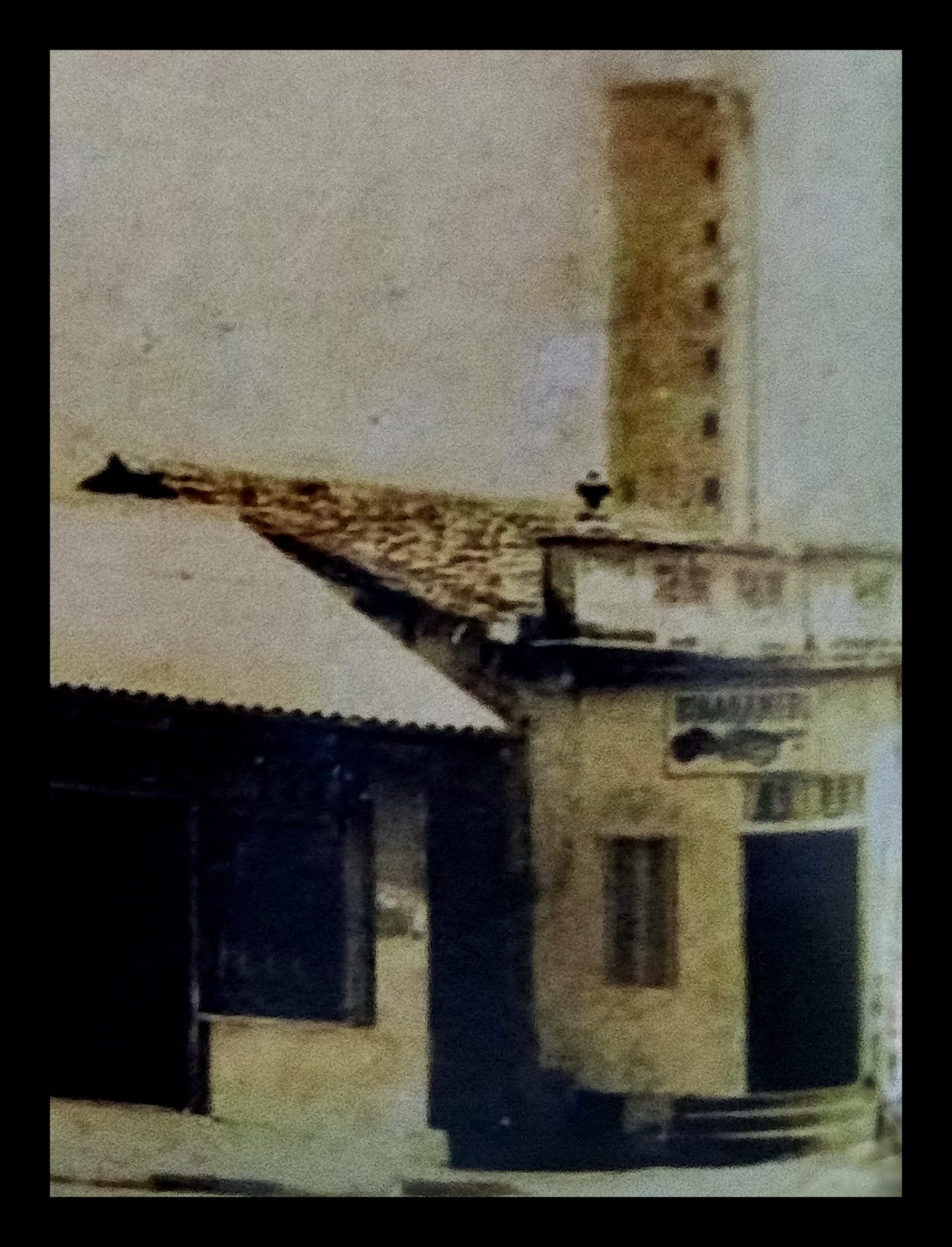 THE BAMBA THAT WAS - Colombo Times